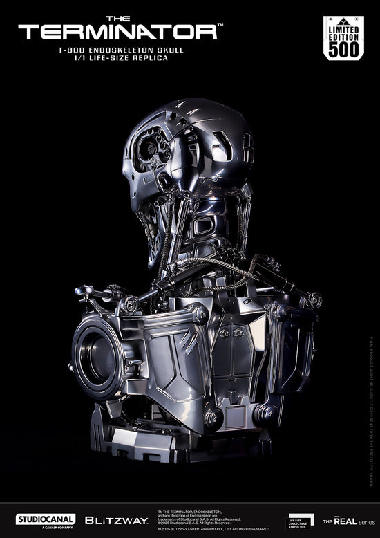 T-800 Endoskeleton Skull