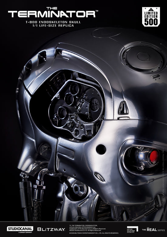 T-800 Endoskeleton Skull