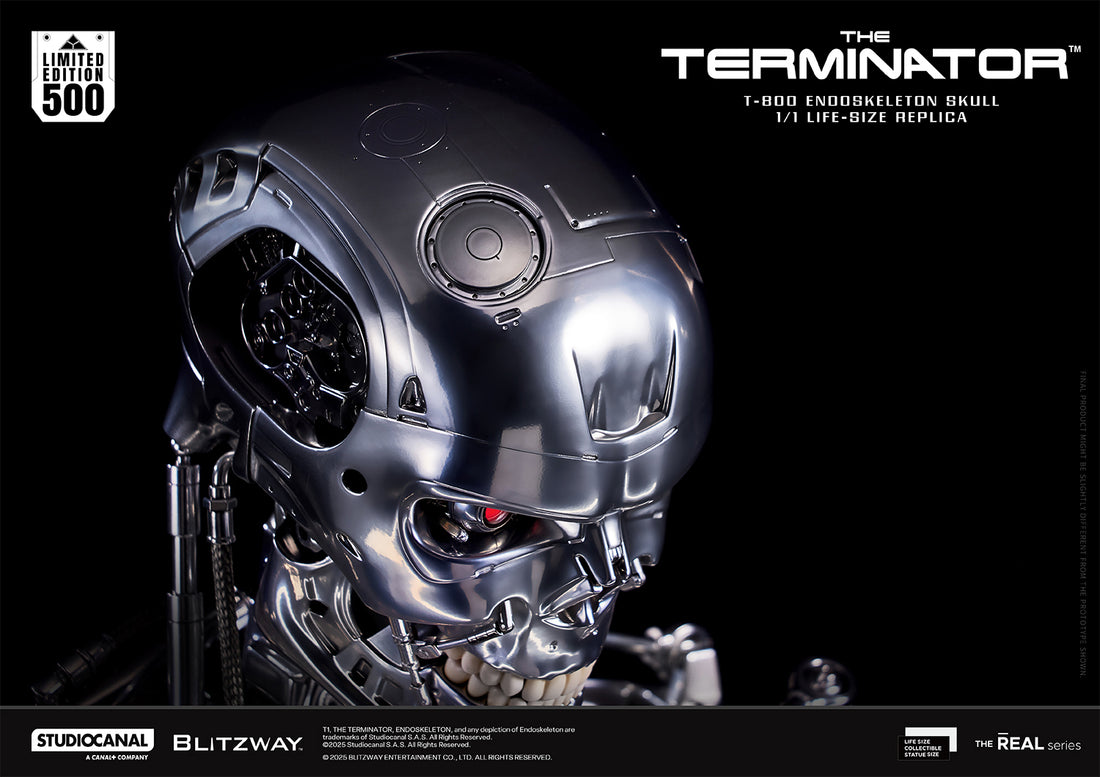 T-800 Endoskeleton Skull