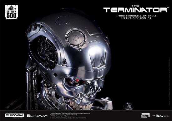 T-800 Endoskeleton Skull