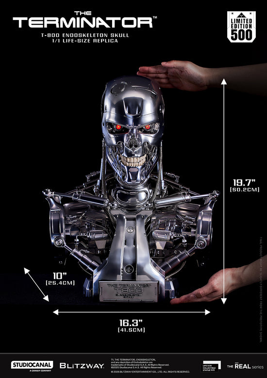T-800 Endoskeleton Skull