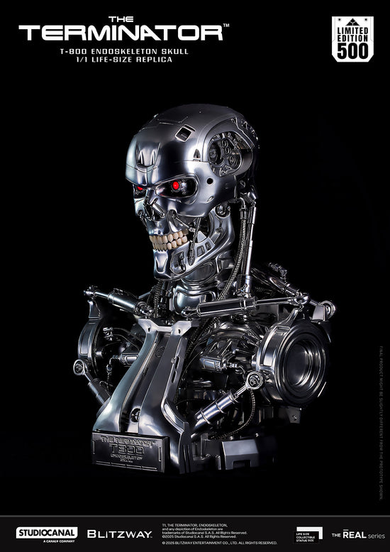 T-800 Endoskeleton Skull
